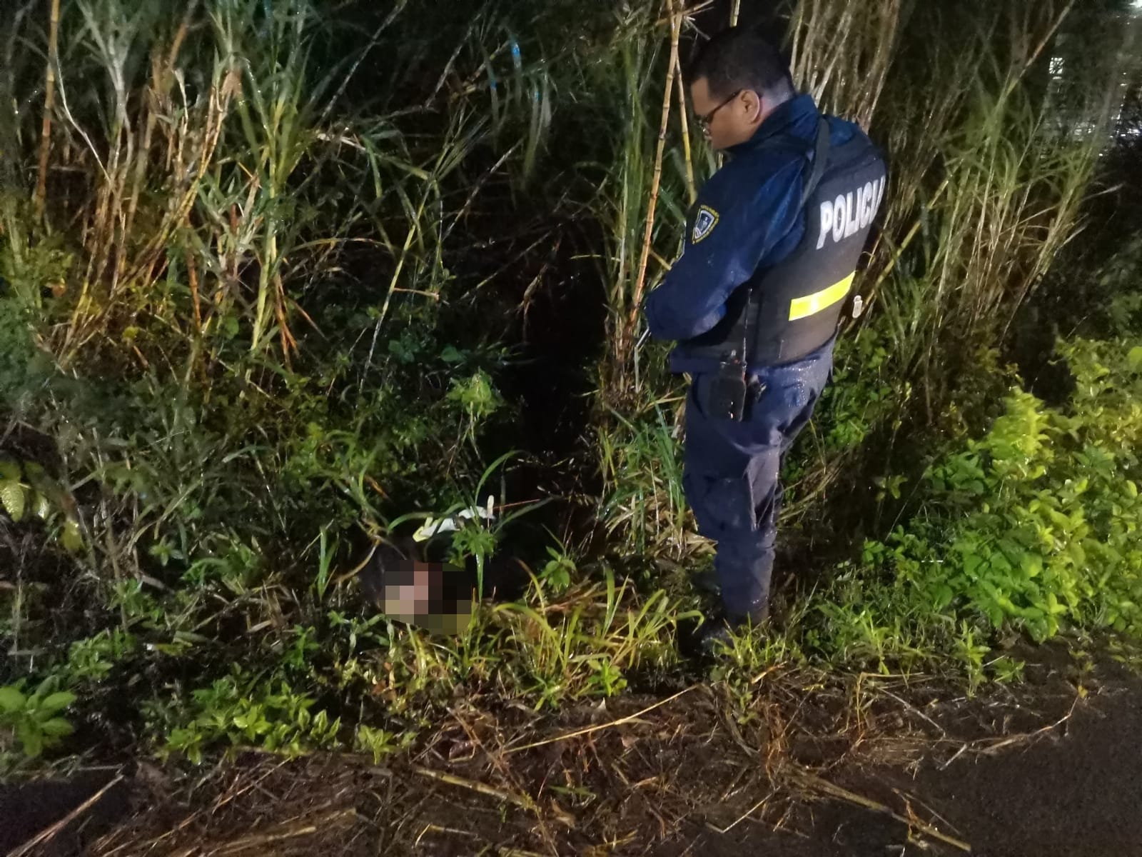 Fuerza Pública detiene a dos hombres por robo en vivienda. - SomosACRnet