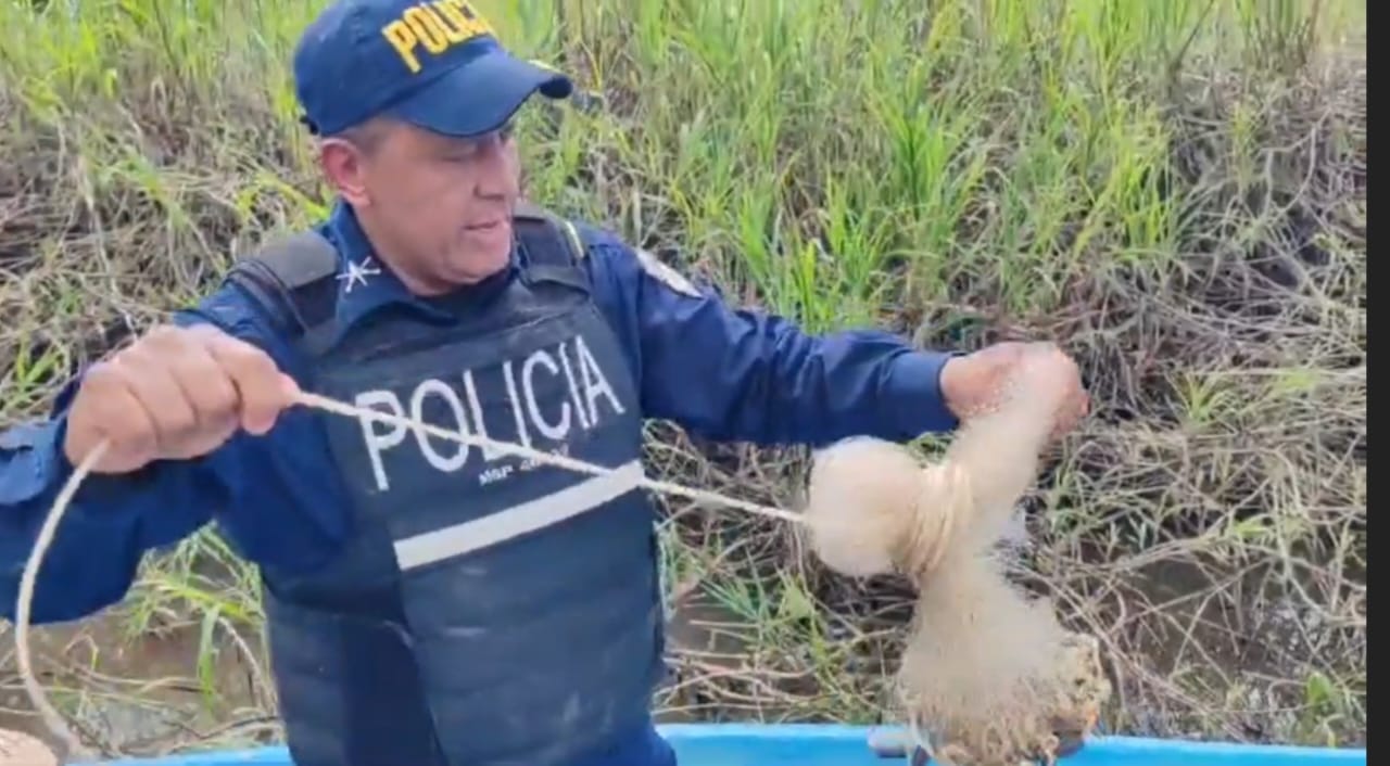 Fuerza Pública y SINAC redoblan esfuerzos para evitar extinción del pez ...